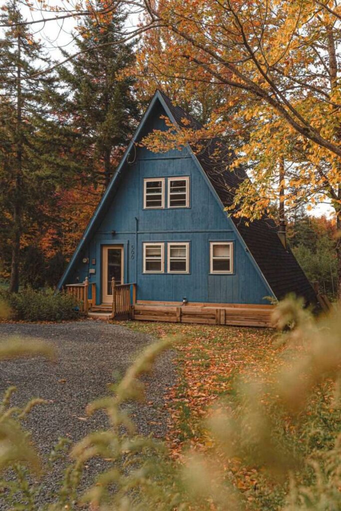 Tiny House with Blue Frame - Life Tiny House