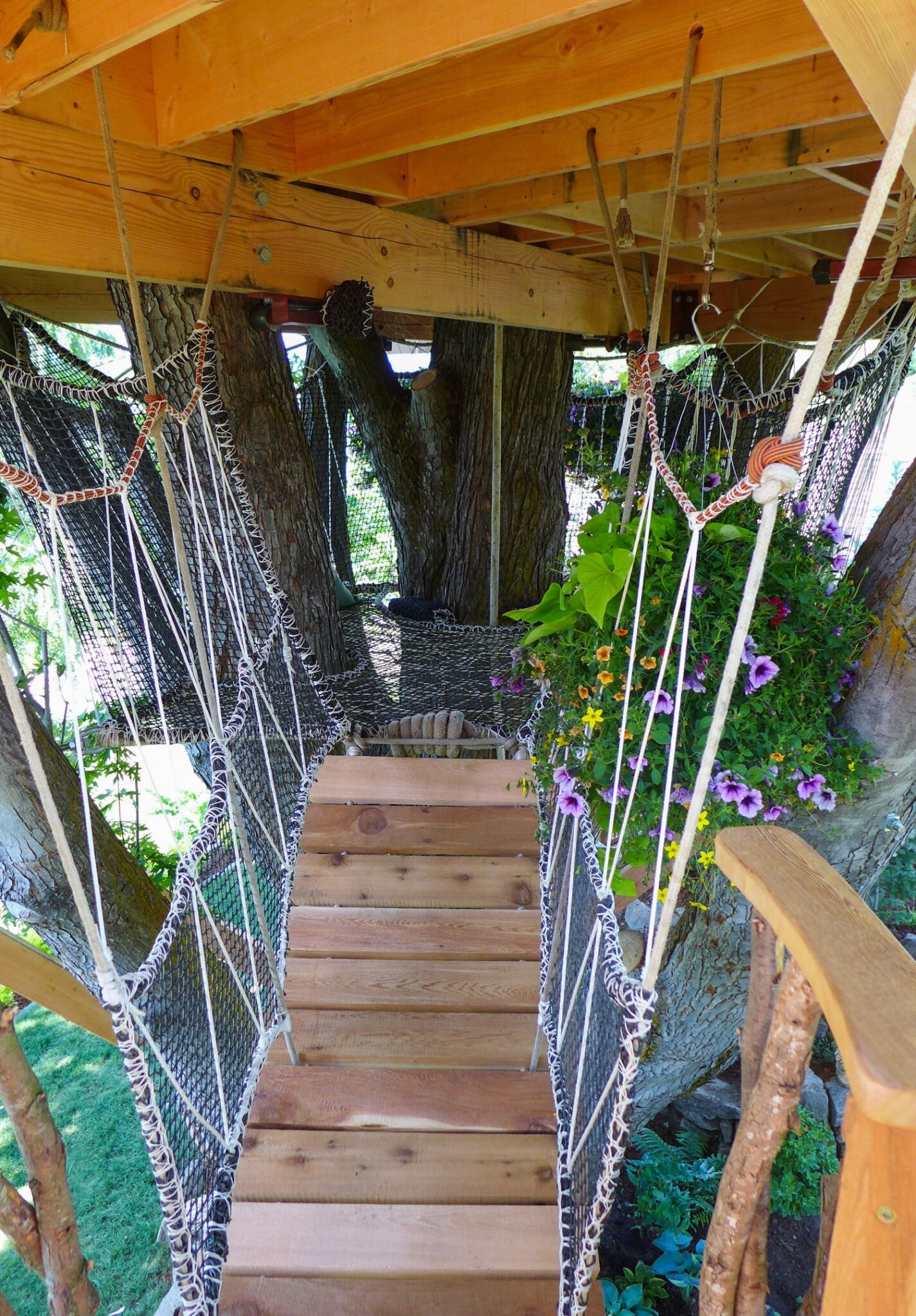 Tree House with a Great View - Life Tiny House